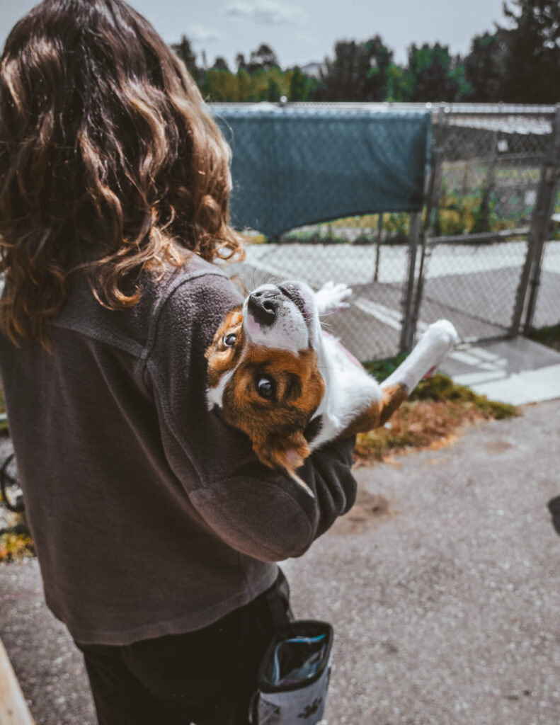 Puppy Crate Training - Humane Society of Western Montana